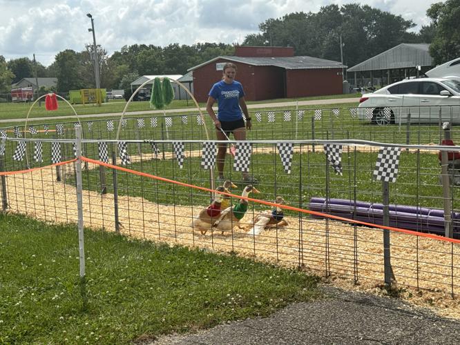Family a-fair: Lots to do for all ages at the Jefferson County Fair ...