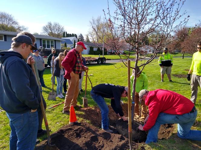 Beautification Council plants more trees in Fort Atkinson | Fort ...