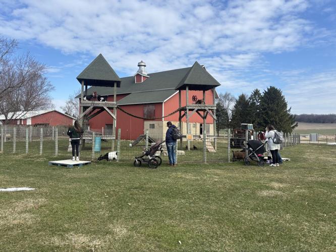 Easter Bunny greets kids at Busy Barns | Local | dailyunion.com
