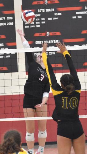 WIAA volleyball: Fort Atkinson bounces Beaver Dam in 4 sets | Sports ...