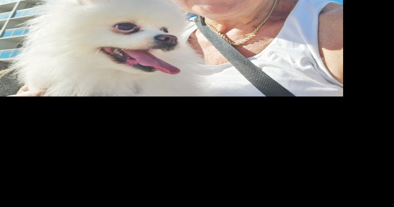 Volusia approves a dog- friendly beach in Daytona | Community ...