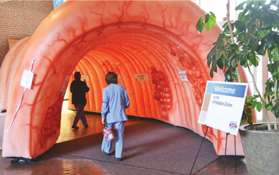Large-scale model of the human colon coming to Halifax Health ...