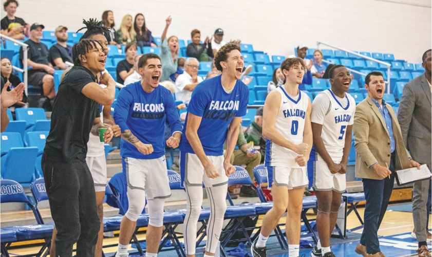 DSC Falcons nationally ranked; seeks national title | Sports ...