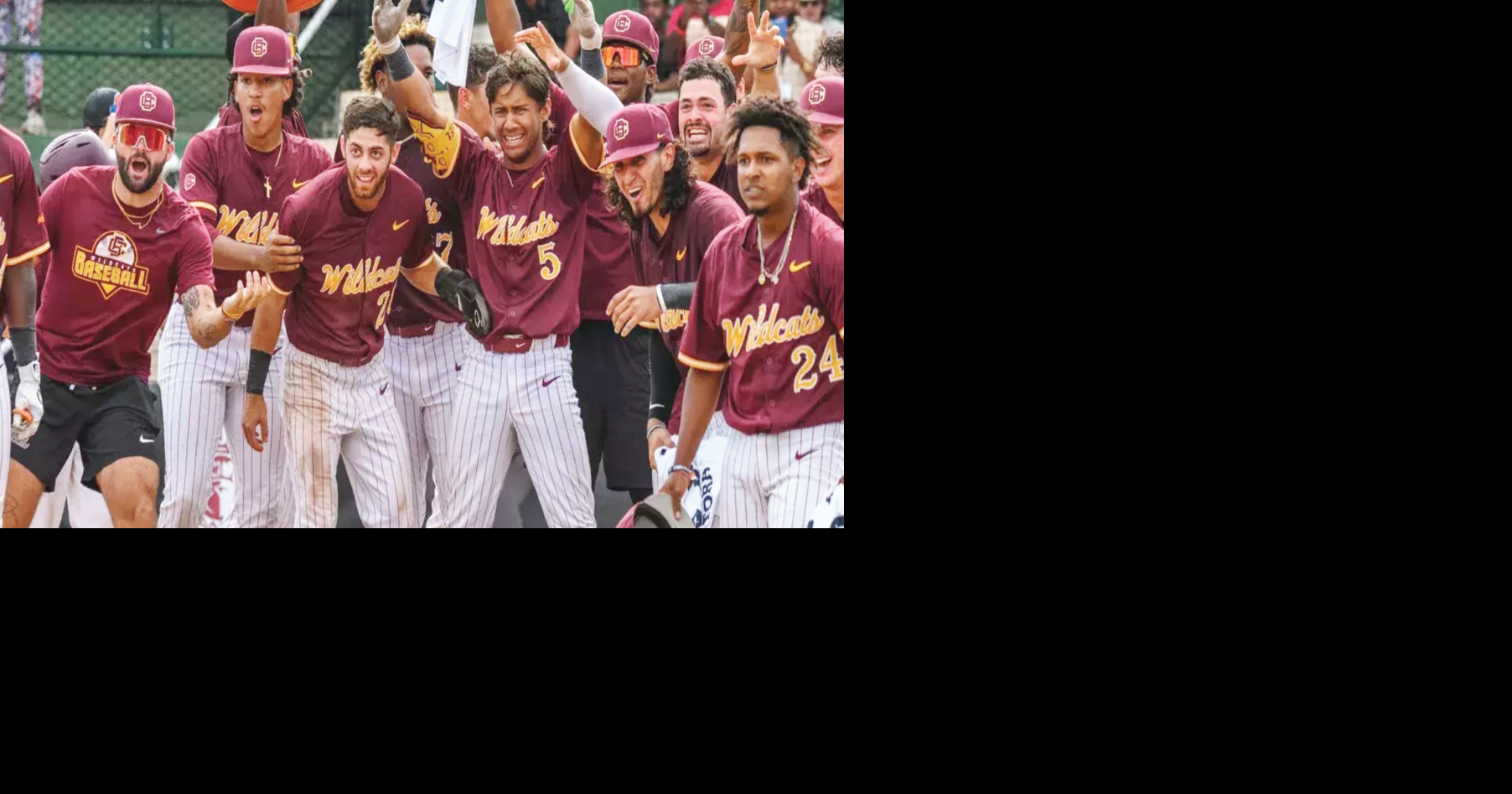 One last look at Bethune-Cookman’s baseball season | News ...