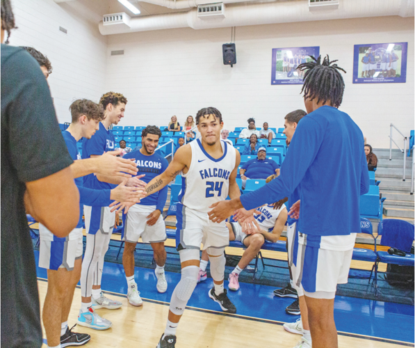 DSC Falcons nationally ranked; seeks national title | Sports ...