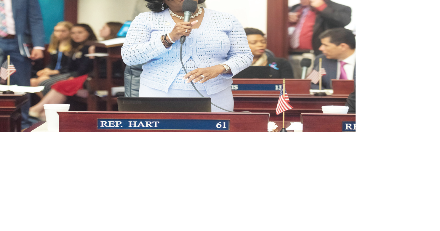 Florida Dems down, but not out | News | daytonatimes.com