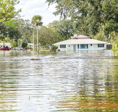 Homeowners encouraged to apply for Transform386 funds | News | daytonatimes.com