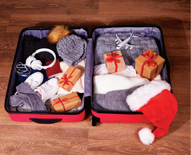5 TIPS FOR SAFE HOLIDAY TRAVEL | News | daytonatimes.com