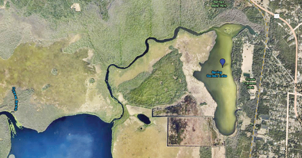 County issues blue-green algae health alert about Spring Garden Lake ...