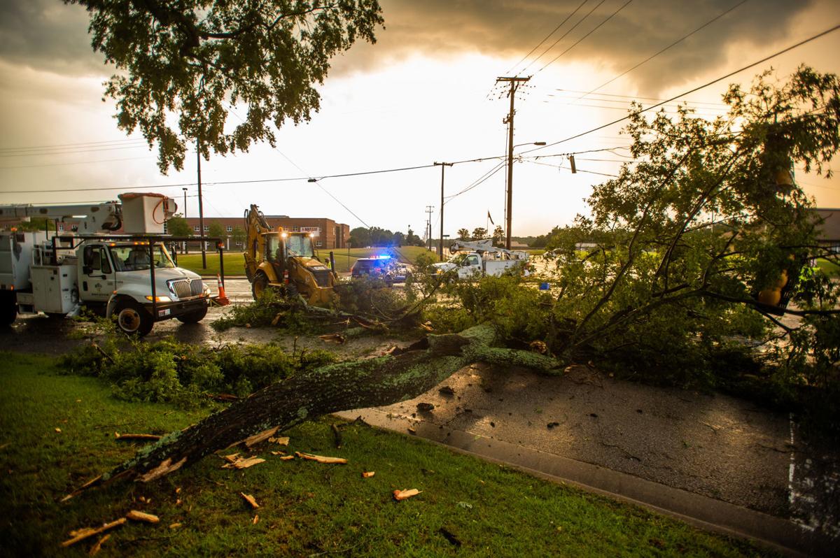 Trees, traffic lights down in Decatur Storm | News | decaturdaily.com