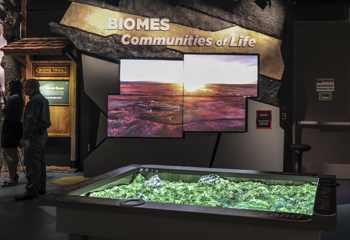 A Peek into the Cook Museum of Natural Science | News | decaturdaily.com