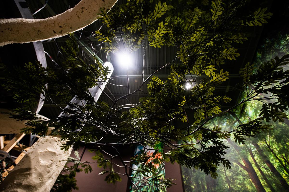 Cook museum schedules opening date | Decatur | decaturdaily.com