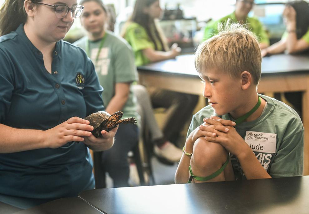 Lawrence County | decaturdaily.com