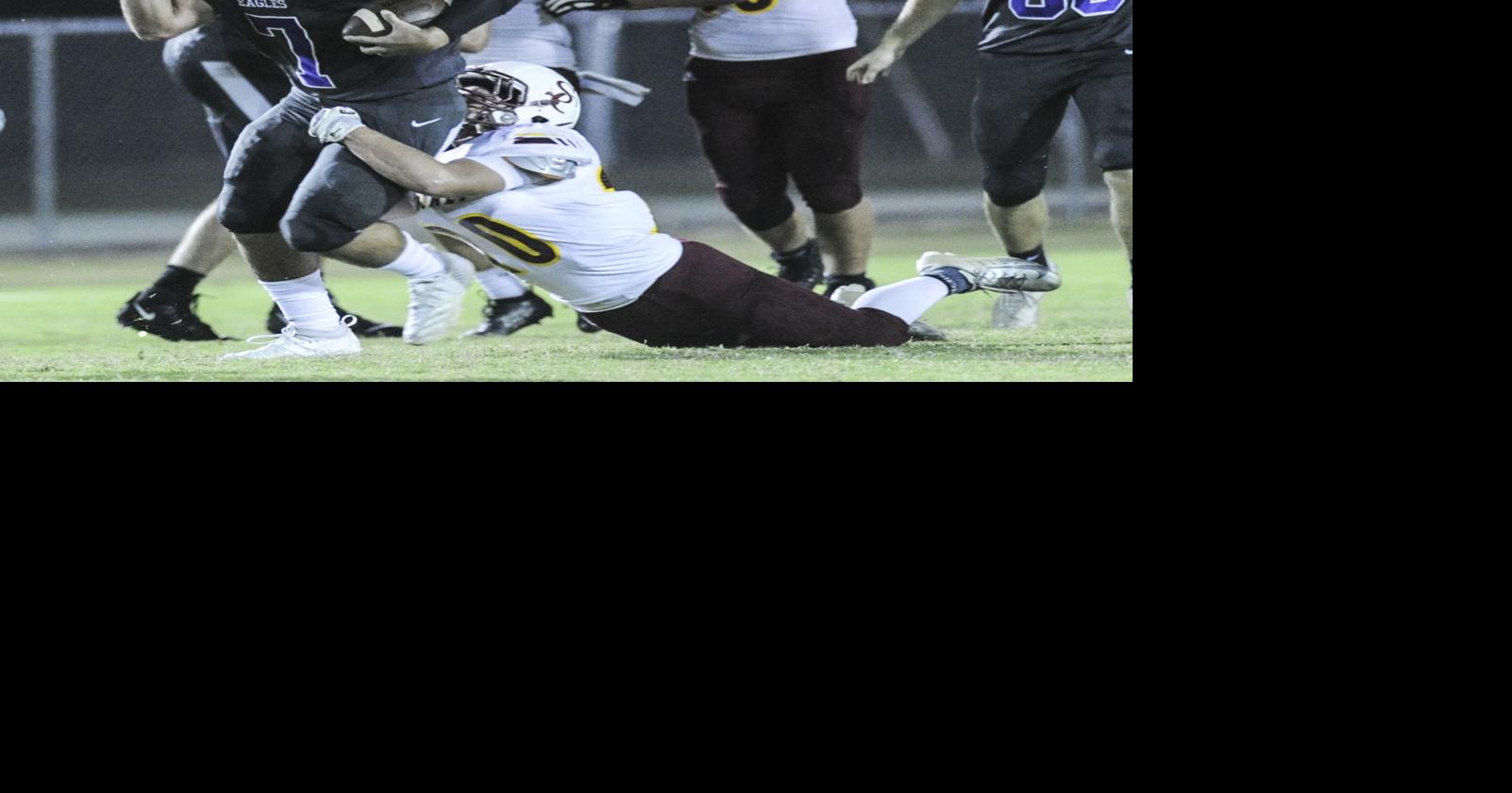 Battle of the birds: Decatur Heritage Eagles entertain Donoho Falcons ...