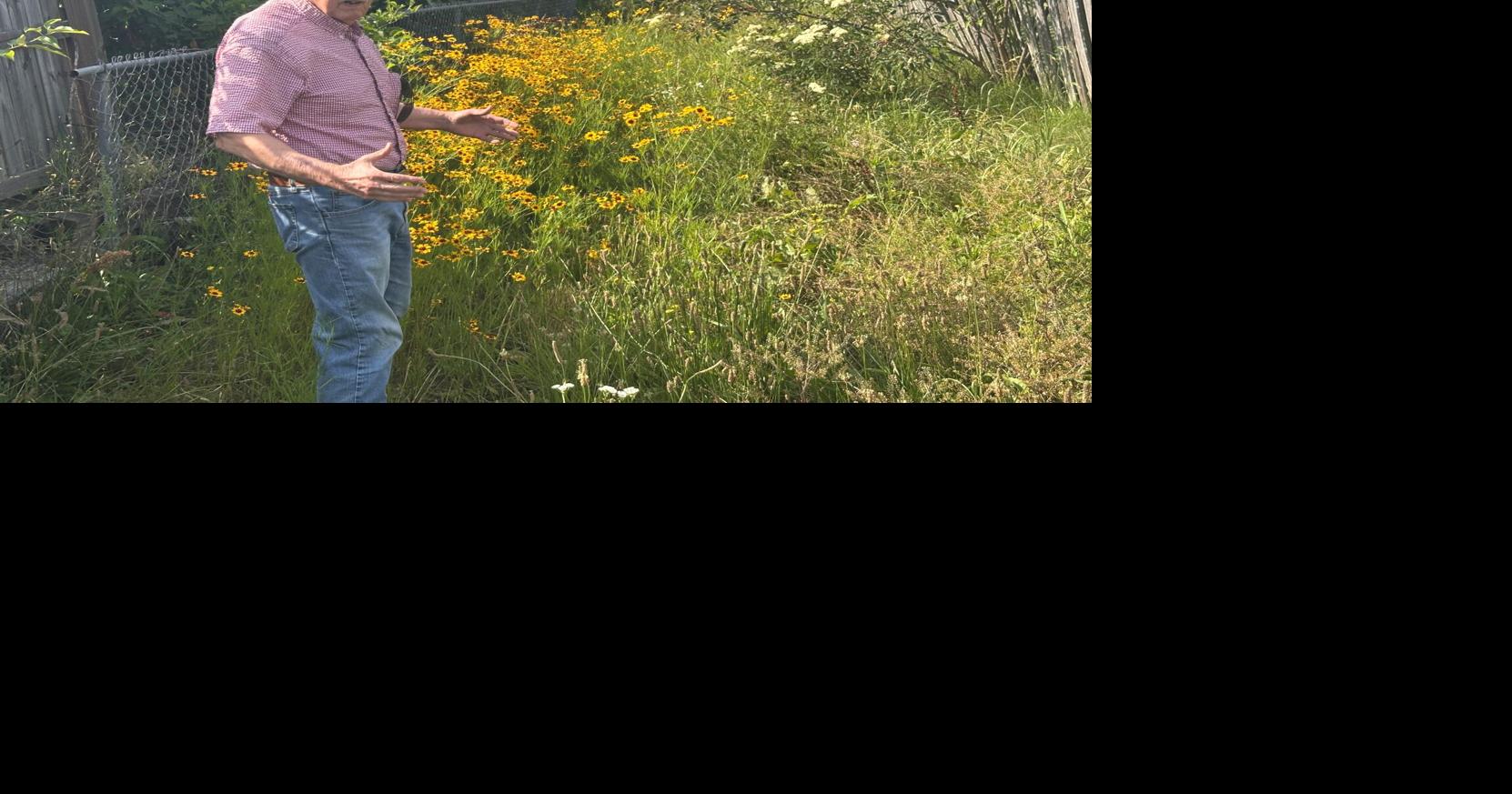 Overgrown ditches create problems, confusion for property owners ...