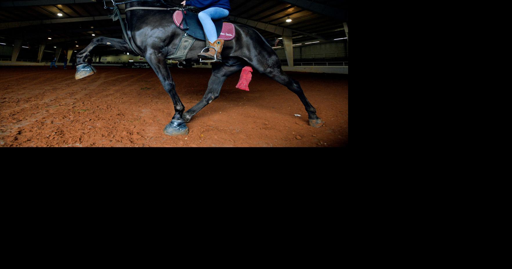 Spring into Fun: Guide to festivals, music, food and outdoor fun in ...