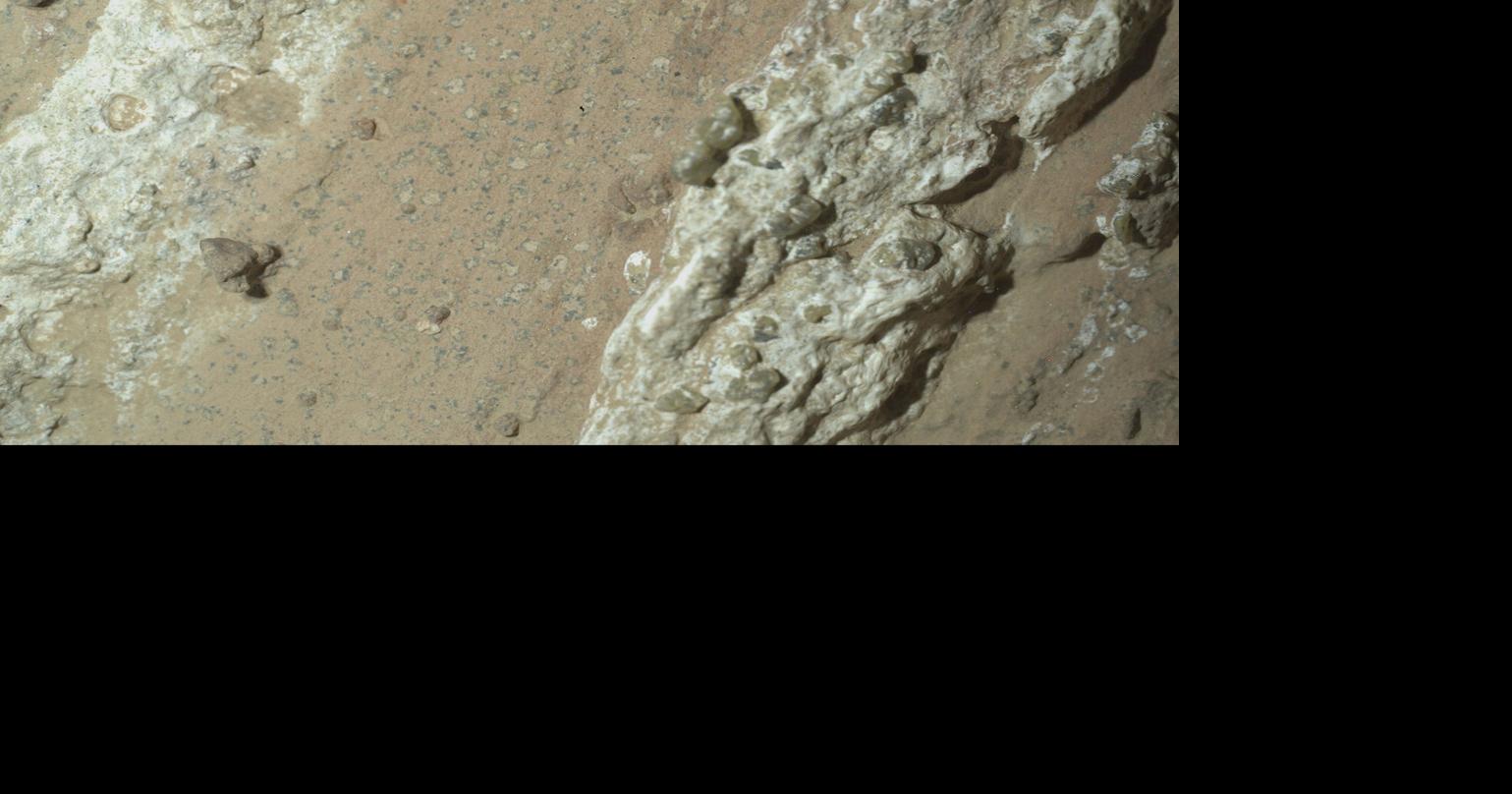 life on mars speculative evolution