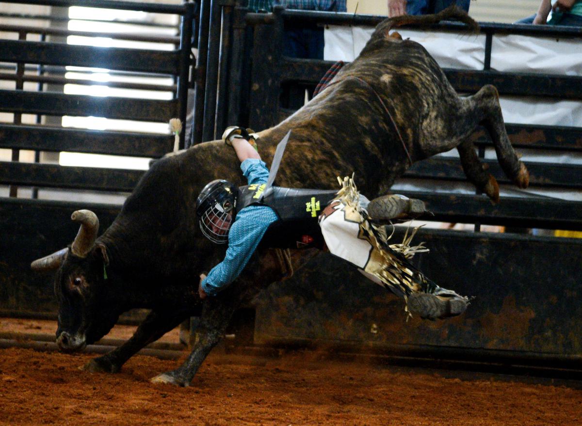 Alabama High School Rodeo | Gallery | decaturdaily.com