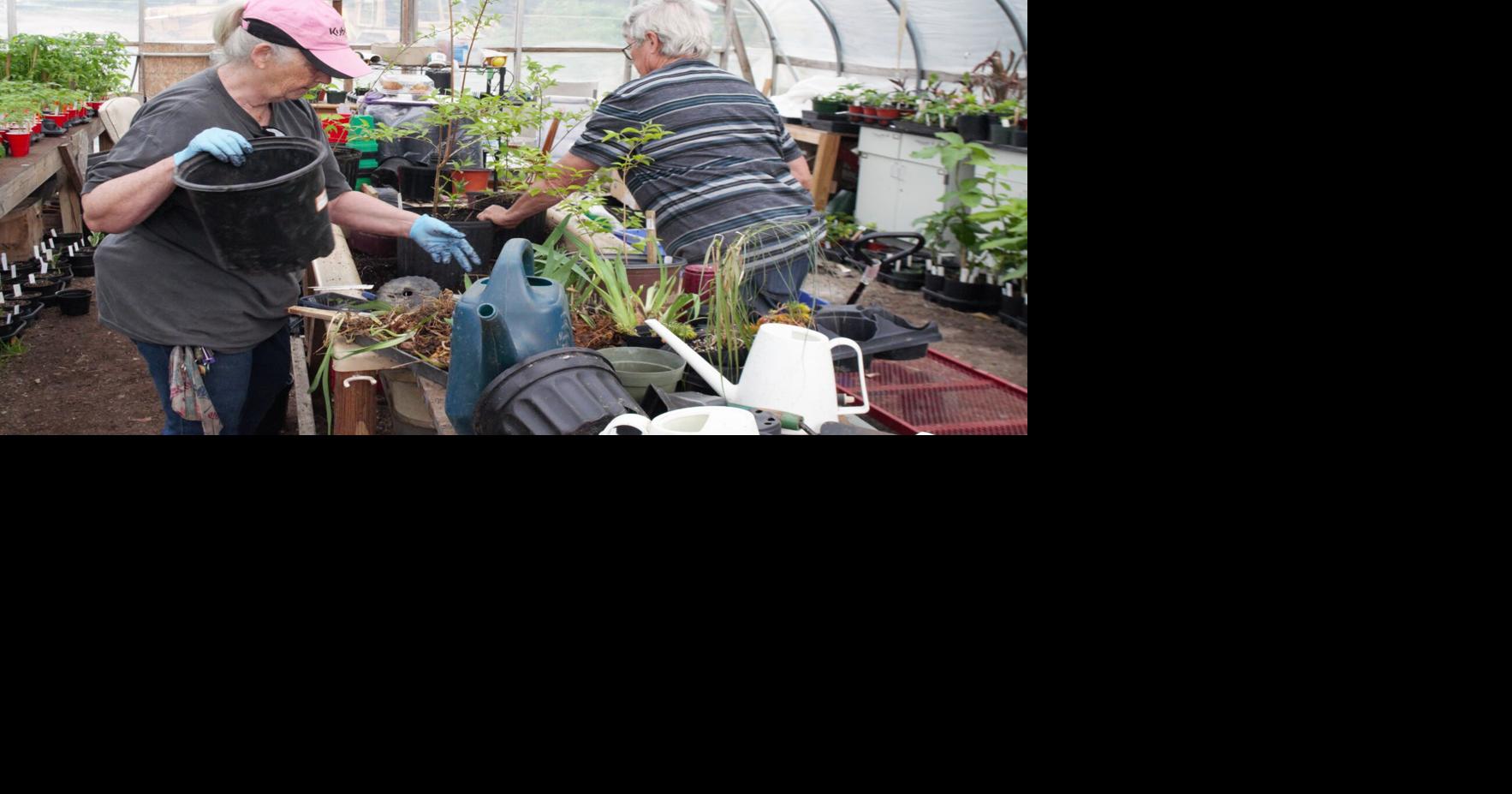 Ready, Set, Plant: Morgan County Master Gardeners Plant Sale to feature ...