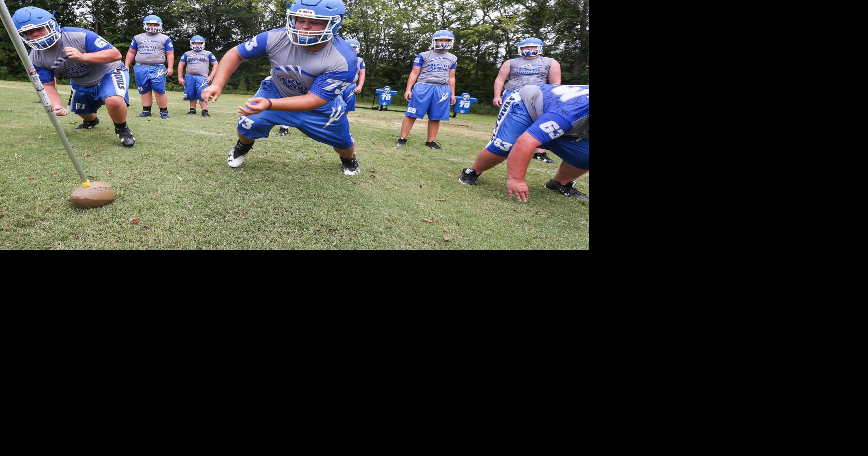 Falkville Blue Devils | Falkville | decaturdaily.com