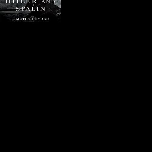 BOOK REVIEW: 'Bloodlands' explains much of the world today | Books ...