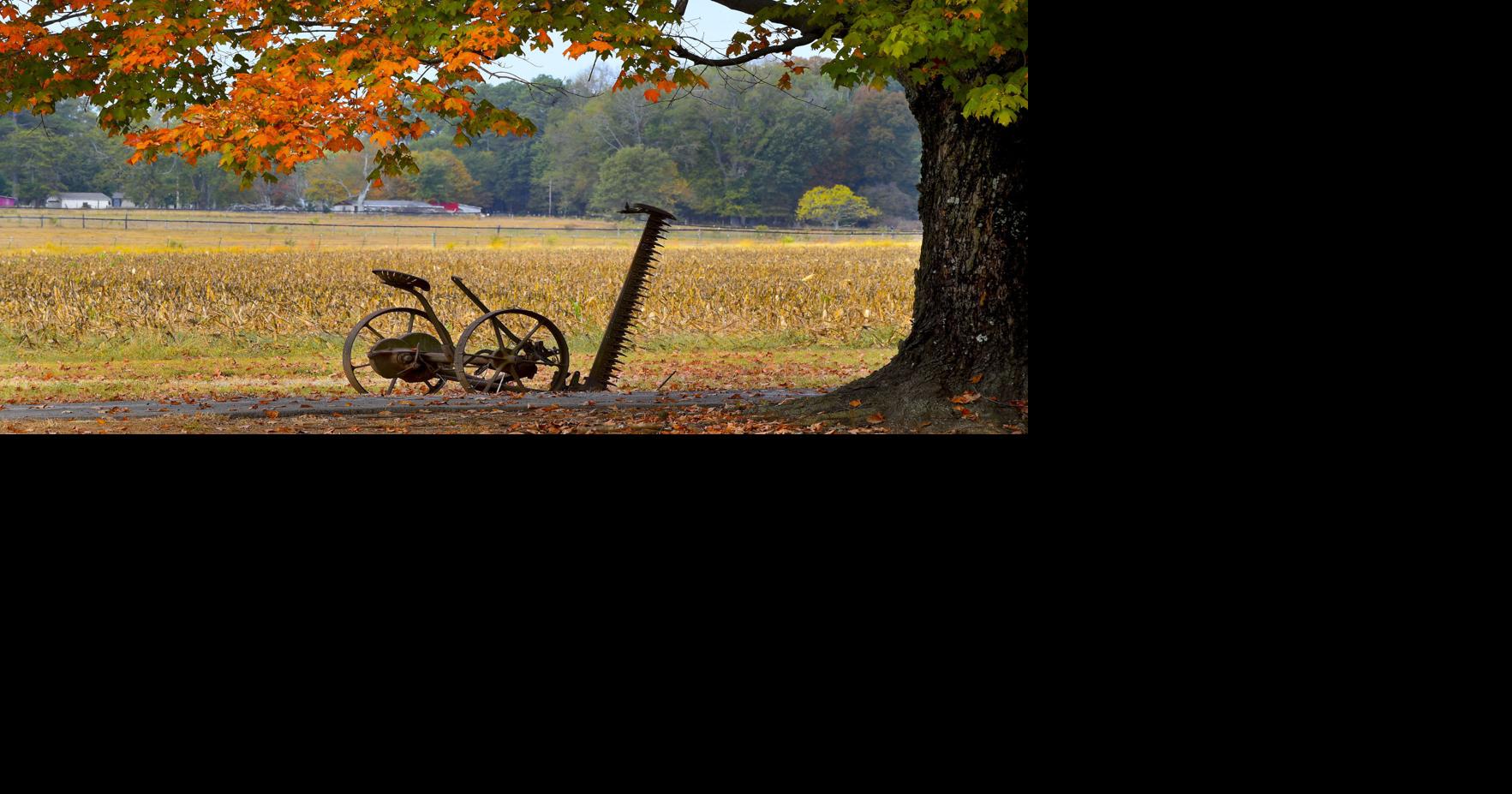NATURE SHOW: Places in north Alabama to see season's colors | Living ...