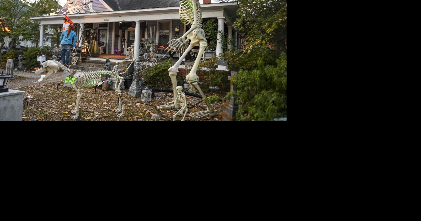Hooray for Halloween: 15 events for children, adults and families ...