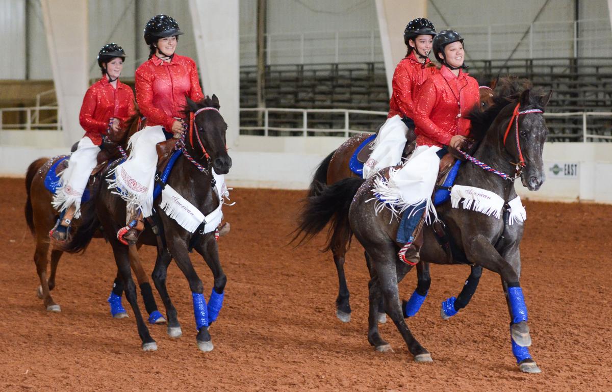 Southeast Mounted Drill Team Association National Competition | Gallery ...