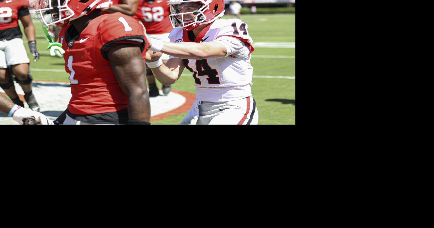 2025 GameDay preview: Georgia Bulldogs | Sports | decaturdaily.com