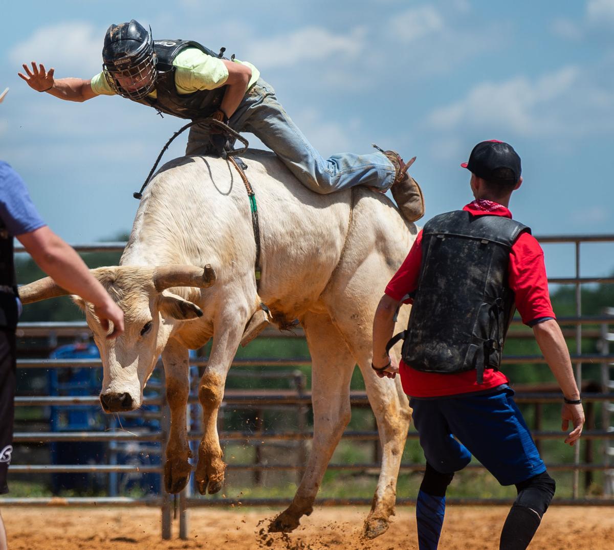 Lessons on Bull Riding: Morgan County camp uses bulls to teach boys ...