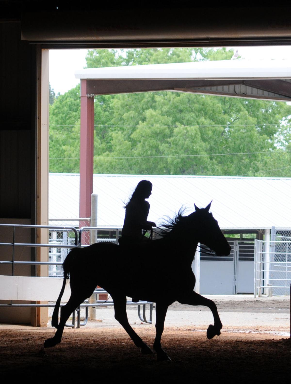 Celebration Arena sees reason for celebration | Opportunity ...