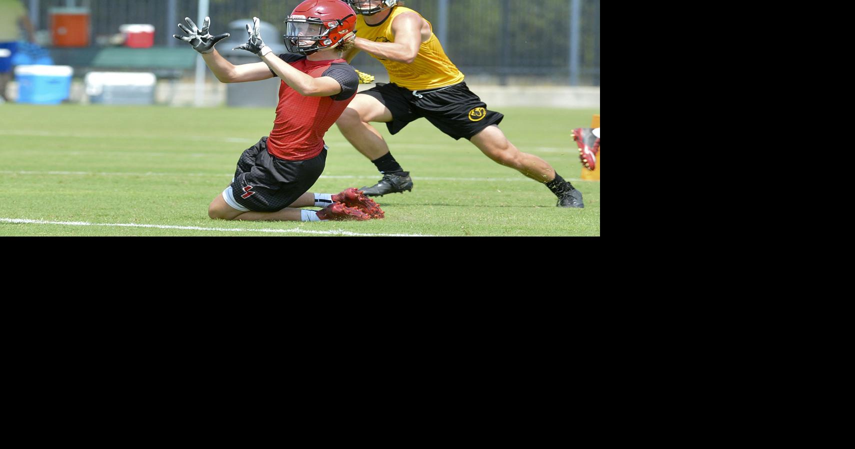 Decatur Red Raiders | Decatur High | decaturdaily.com