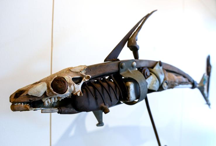 Bruce Larsen Exhibit | Gallery | decaturdaily.com