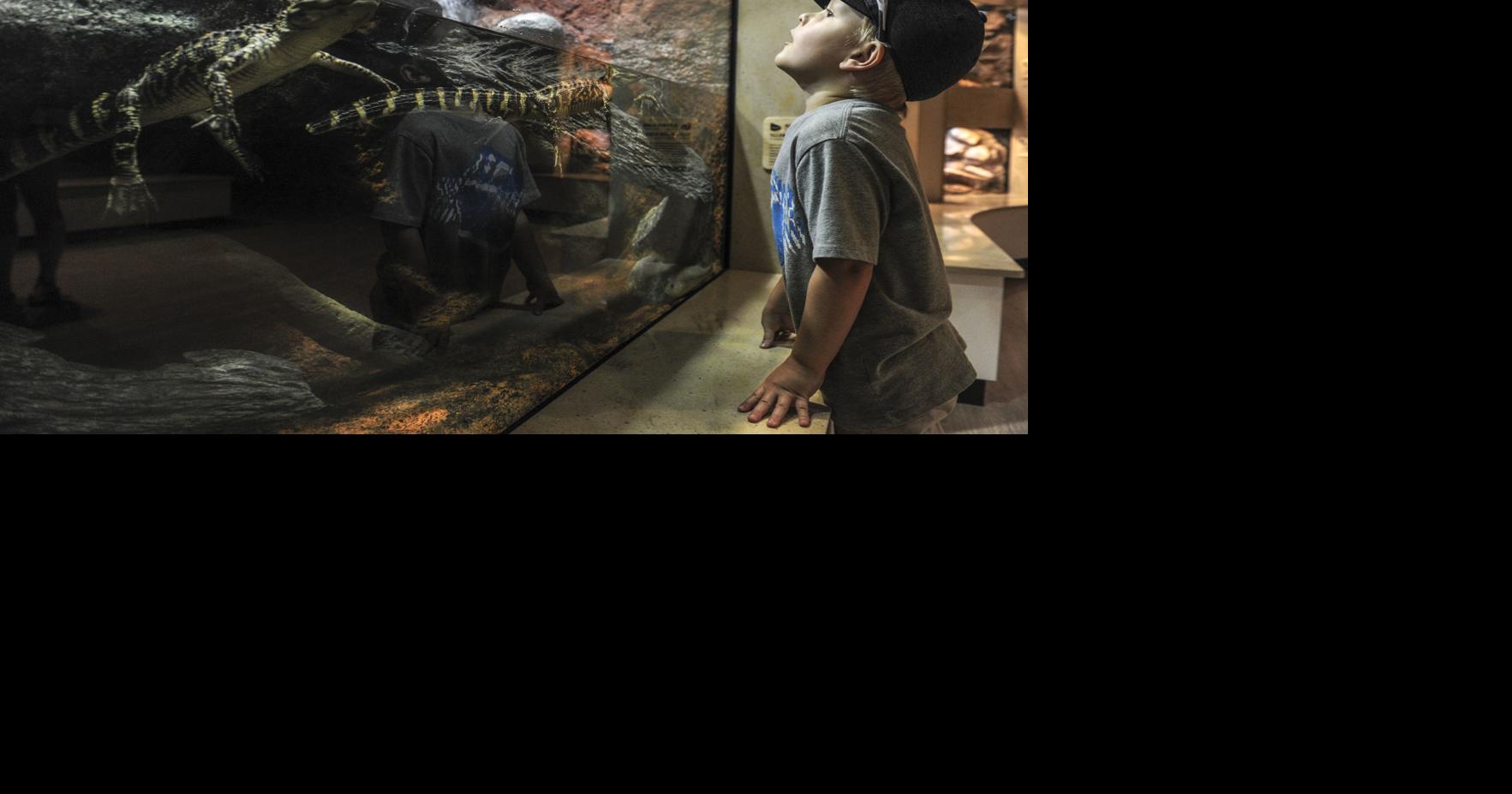 Officials, visitors happy with Cook Museum | Decatur | decaturdaily.com