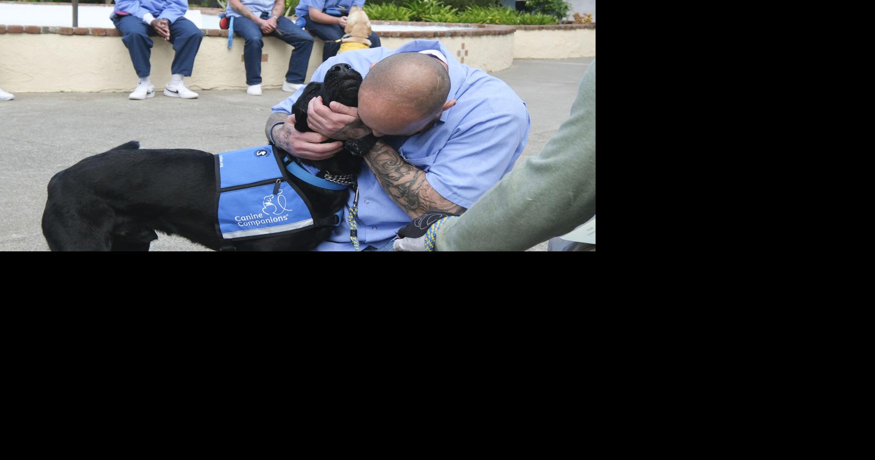 With tears and tail wags, San Quentin inmates reunite with puppies they ...