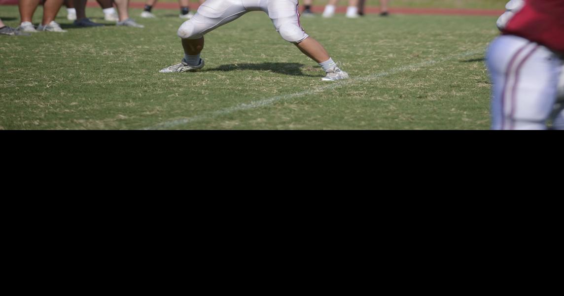 2016 Hartselle Tiger football Preview | Hartselle | decaturdaily.com