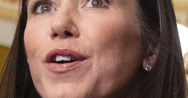 Britt, Palmer reintroduce Lulu’s Law to warn against shark attacks ...