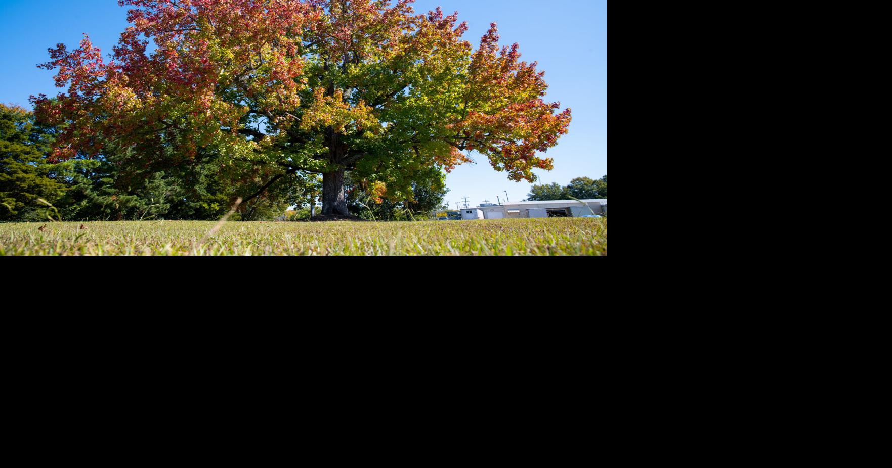 Fall in Love: Colorful autumn adventures await in North Alabama ...