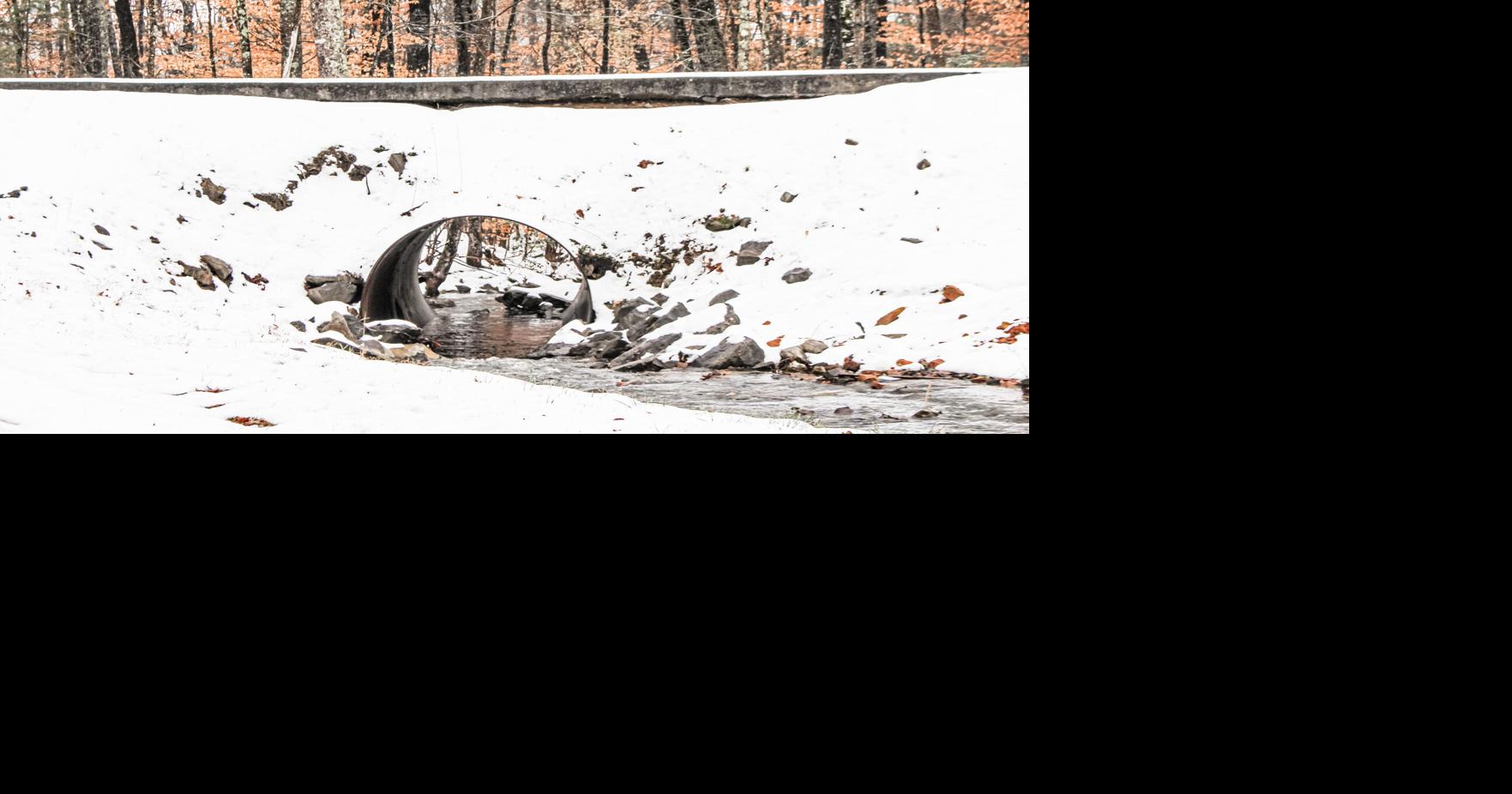 Reader submitted snow day photos | News | decaturdaily.com