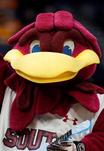2023 GameDay preview: South Carolina Gamecocks | | decaturdaily.com