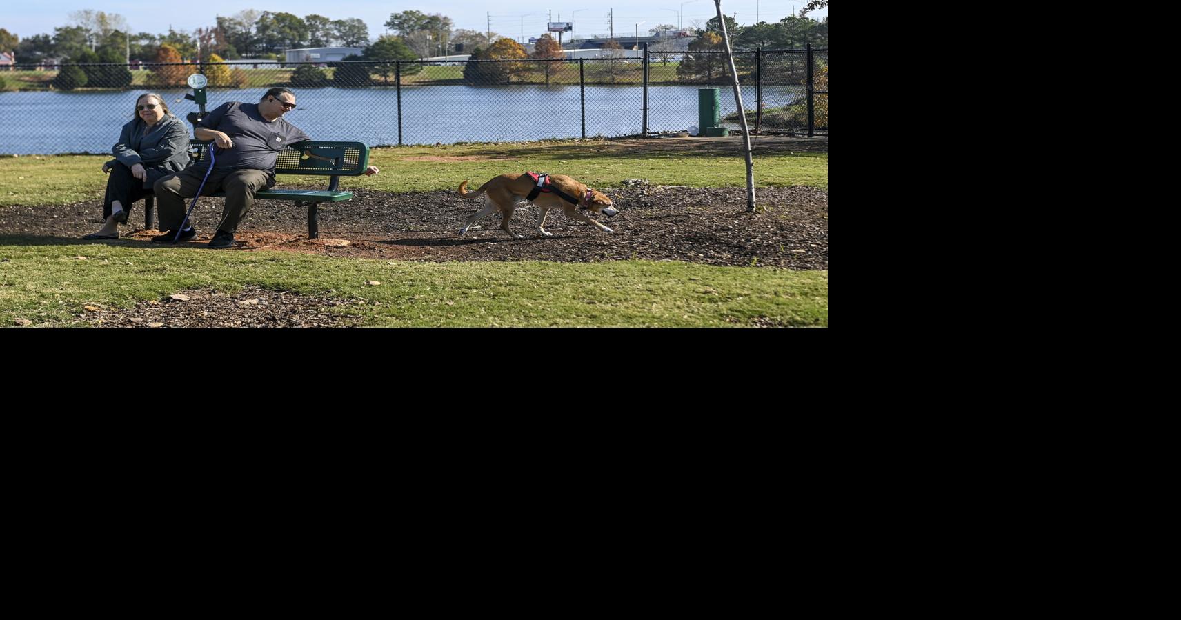 Residents voice concerns about possible dog park changes | Decatur ...