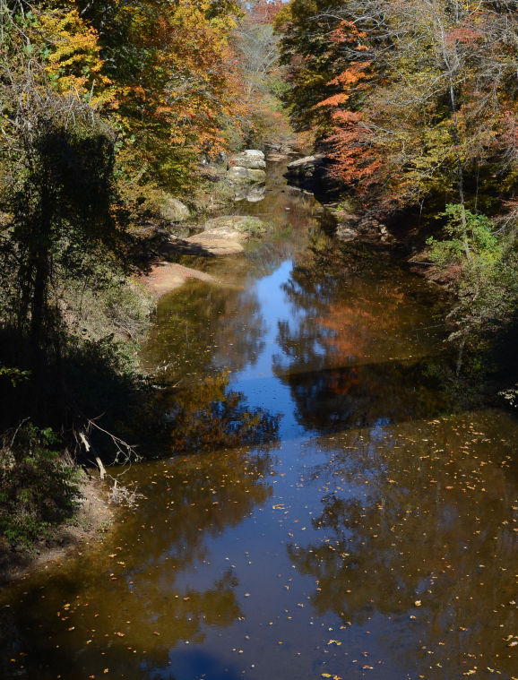 On The Sipsey Wilderness Trail | News | decaturdaily.com