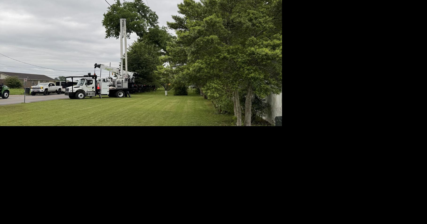 Fallen trees cause power outages in Decatur | Decatur | decaturdaily.com