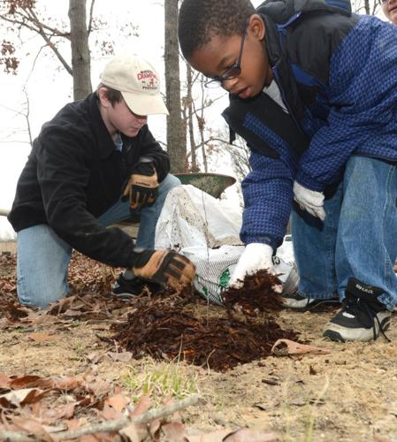 Scouts plant trees at Woodmeade | Local News | decaturdaily.com