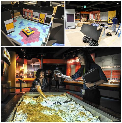 From Conception to Reality: Inside the creation of exhibits at the Cook ...