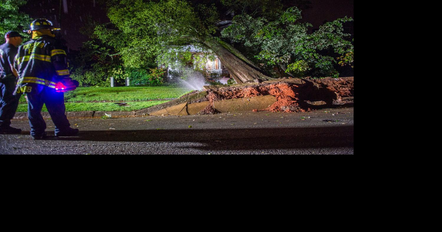 High winds topple oak tree, damaging historic Decatur home | Local News ...