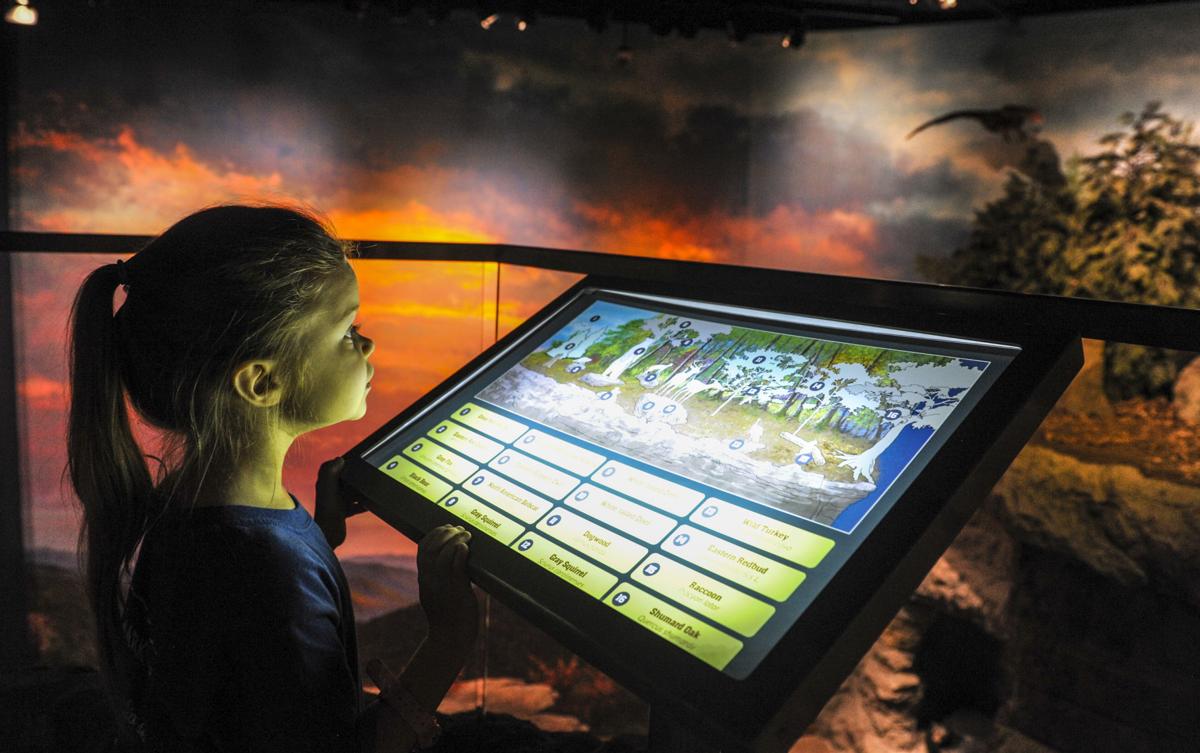 A Peek into the Cook Museum of Natural Science | News | decaturdaily.com