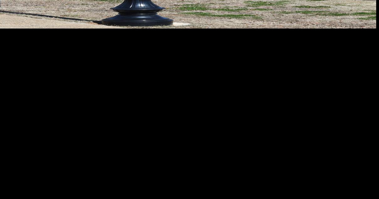 11th Annual Delano Park 12-Hour Run | Gallery | decaturdaily.com