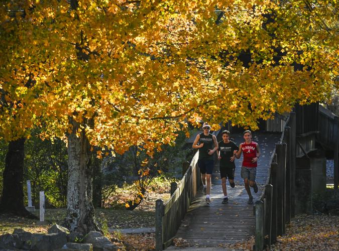 Fall in Love with Nature: Places to see the colors of the season in ...