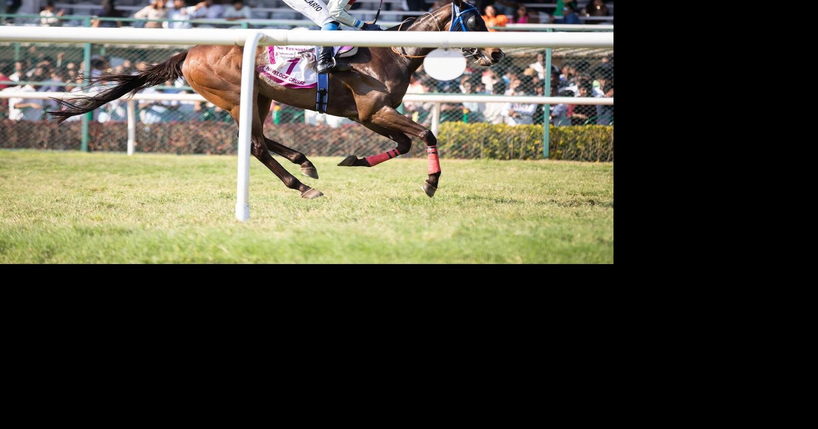 What Are The Best Racing Places in Tennessee? | Sponsored Content ...